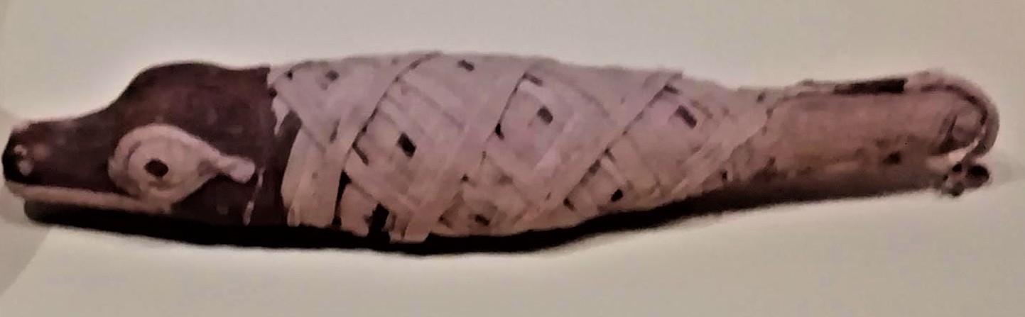 Animal Mummies | Ancient Egypt Online