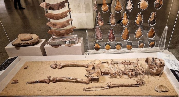 Prehistoric Burials in Ancient Egypt Paleolithic Burials | Ancient ...